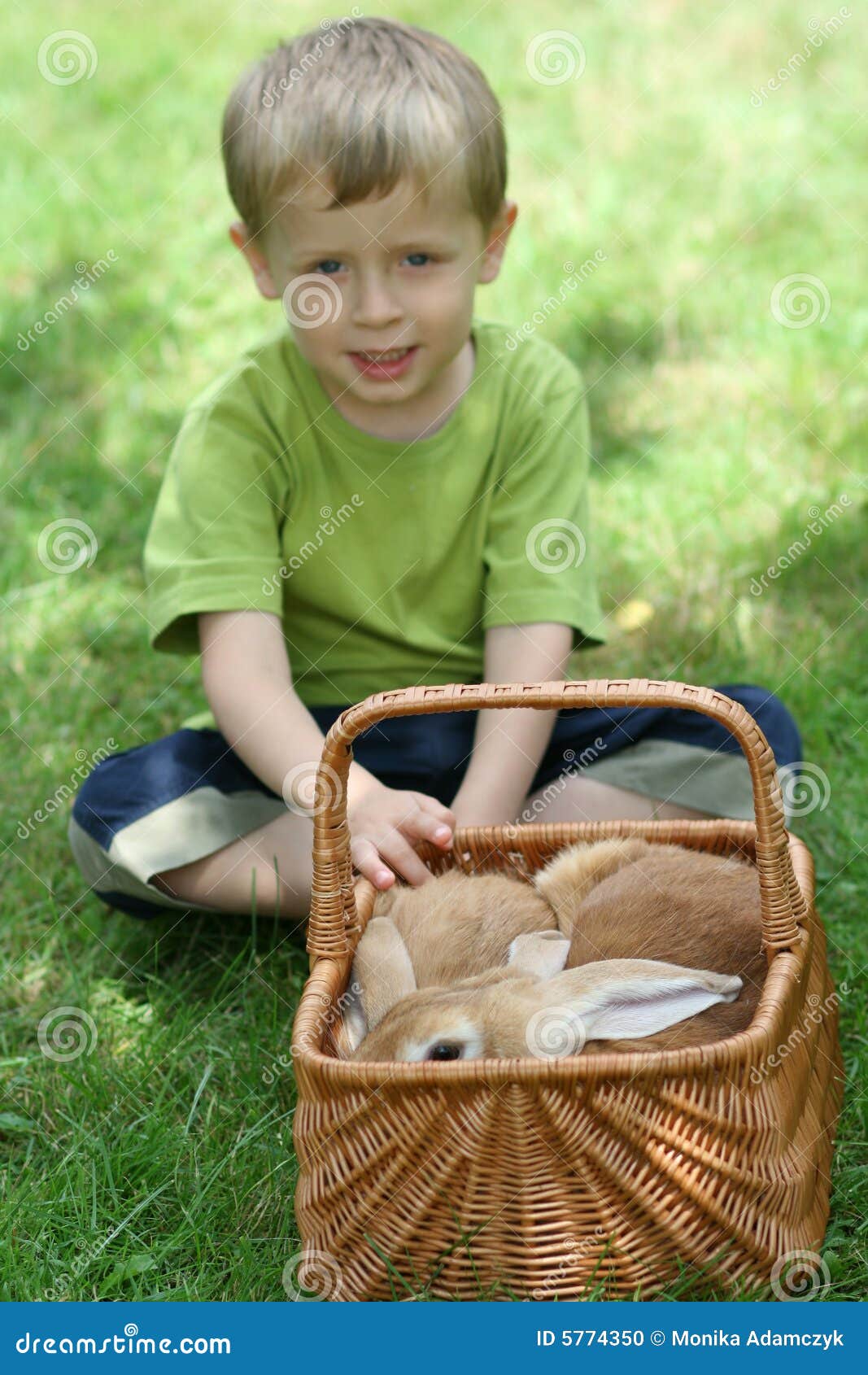 Boy and rabbit stock photo. Image of farm, animals, happiness - 5774350