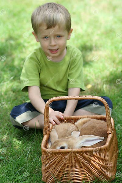 Boy and rabbit stock photo. Image of farm, animals, happiness - 5774350