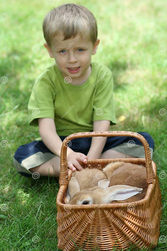 Boy and rabbit stock photo. Image of farm, animals, happiness - 5774350