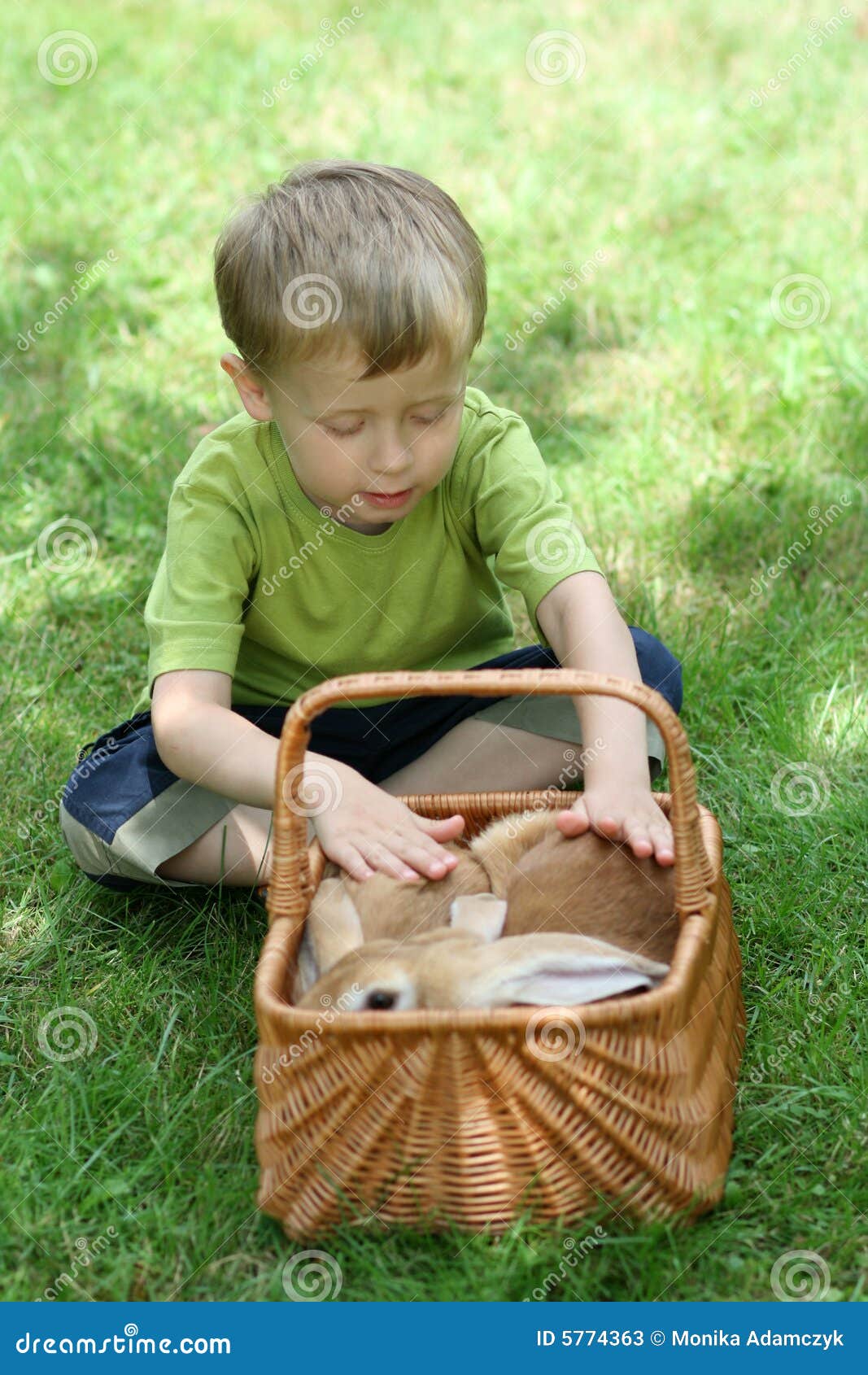 Boy and rabbit stock image. Image of cheerful, summer - 5774363