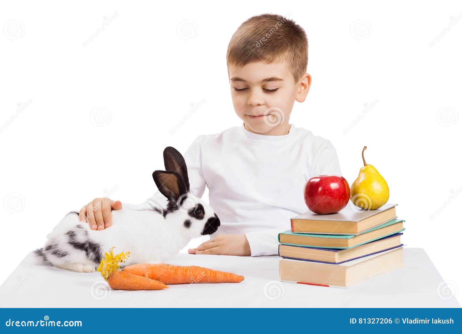 Boy with rabbit stock photo. Image of childhood, fruit - 81327206