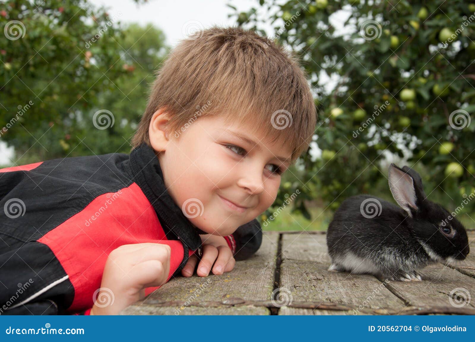 A Boy with a Rabbit in the Garden Stock Photo - Image of summer, rural ...