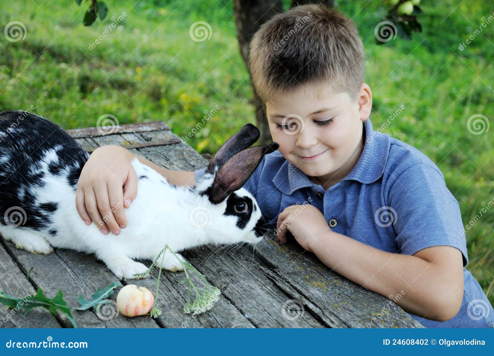 Boy with a Rabbit in the Garden Stock Photo - Image of eight, skin ...