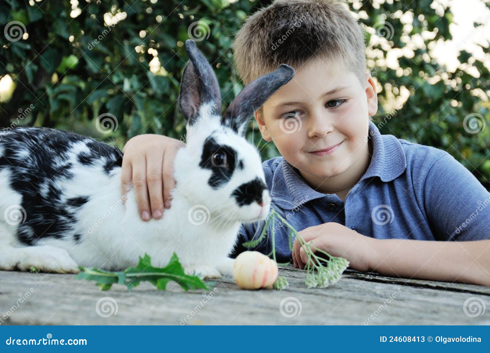 Boy with a Rabbit in the Garden Stock Image - Image of cattle ...