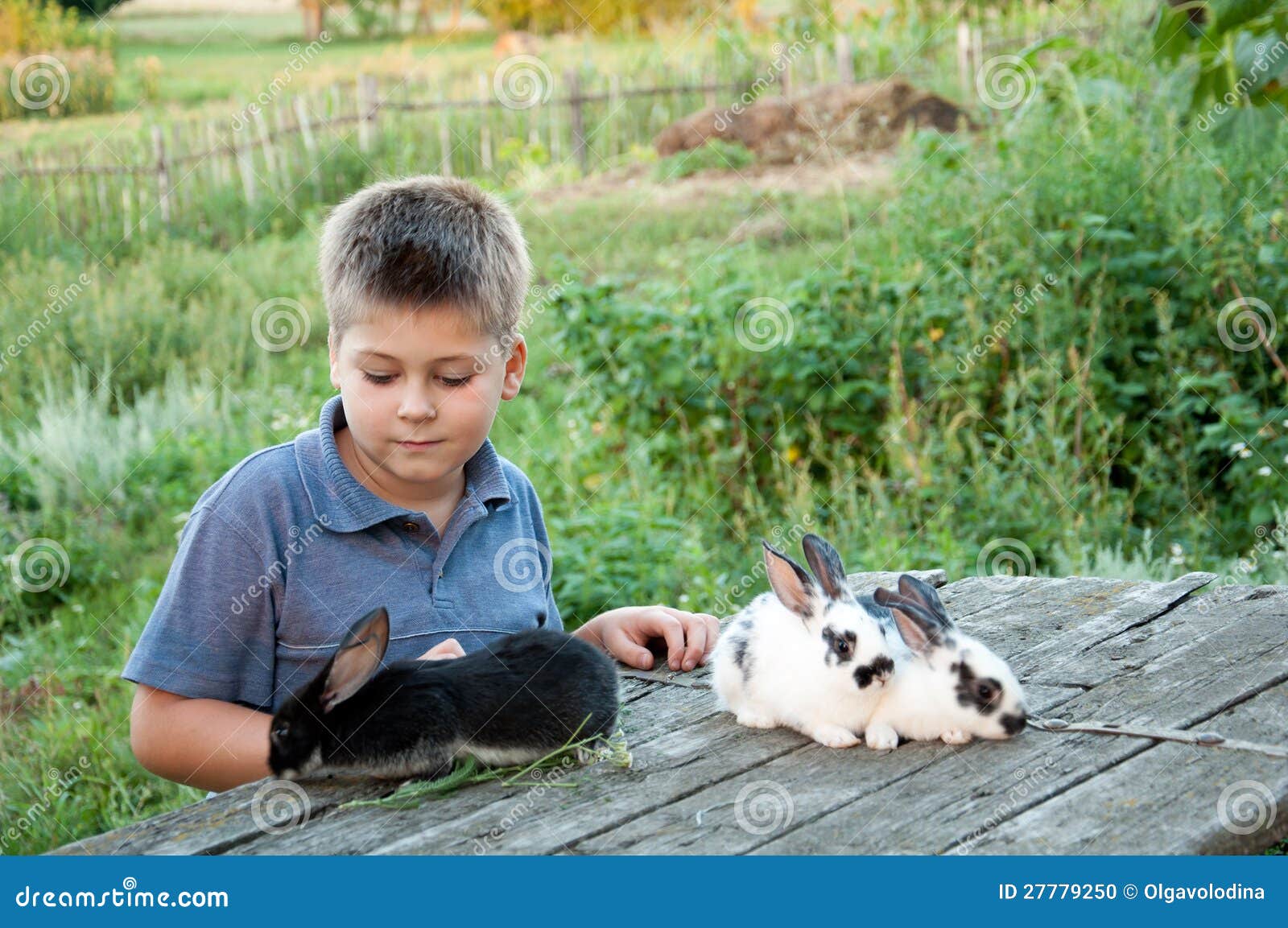 Boy with a Rabbit in the Garden Stock Photo - Image of beautiful, seven ...