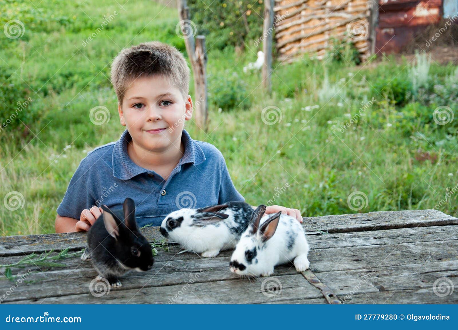 Boy with a Rabbit in the Garden Stock Photo - Image of bunny, baby ...