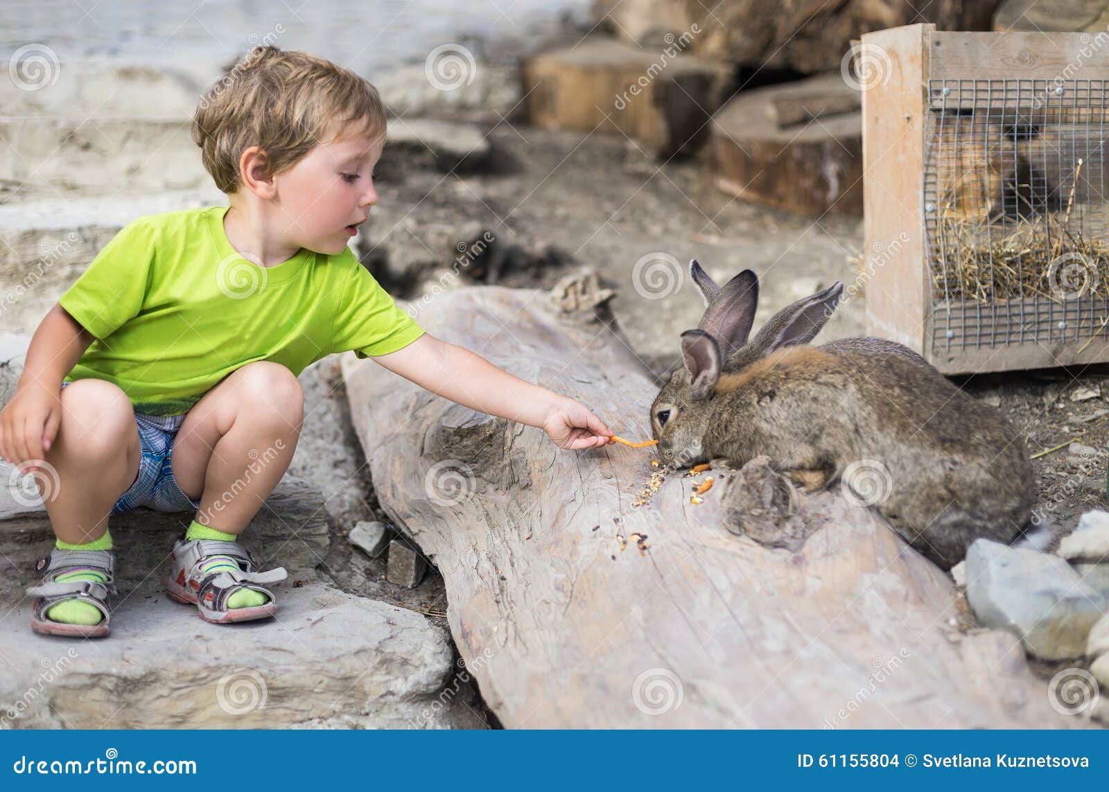 Boy and rabbit stock photo. Image of three, stretches - 61155804