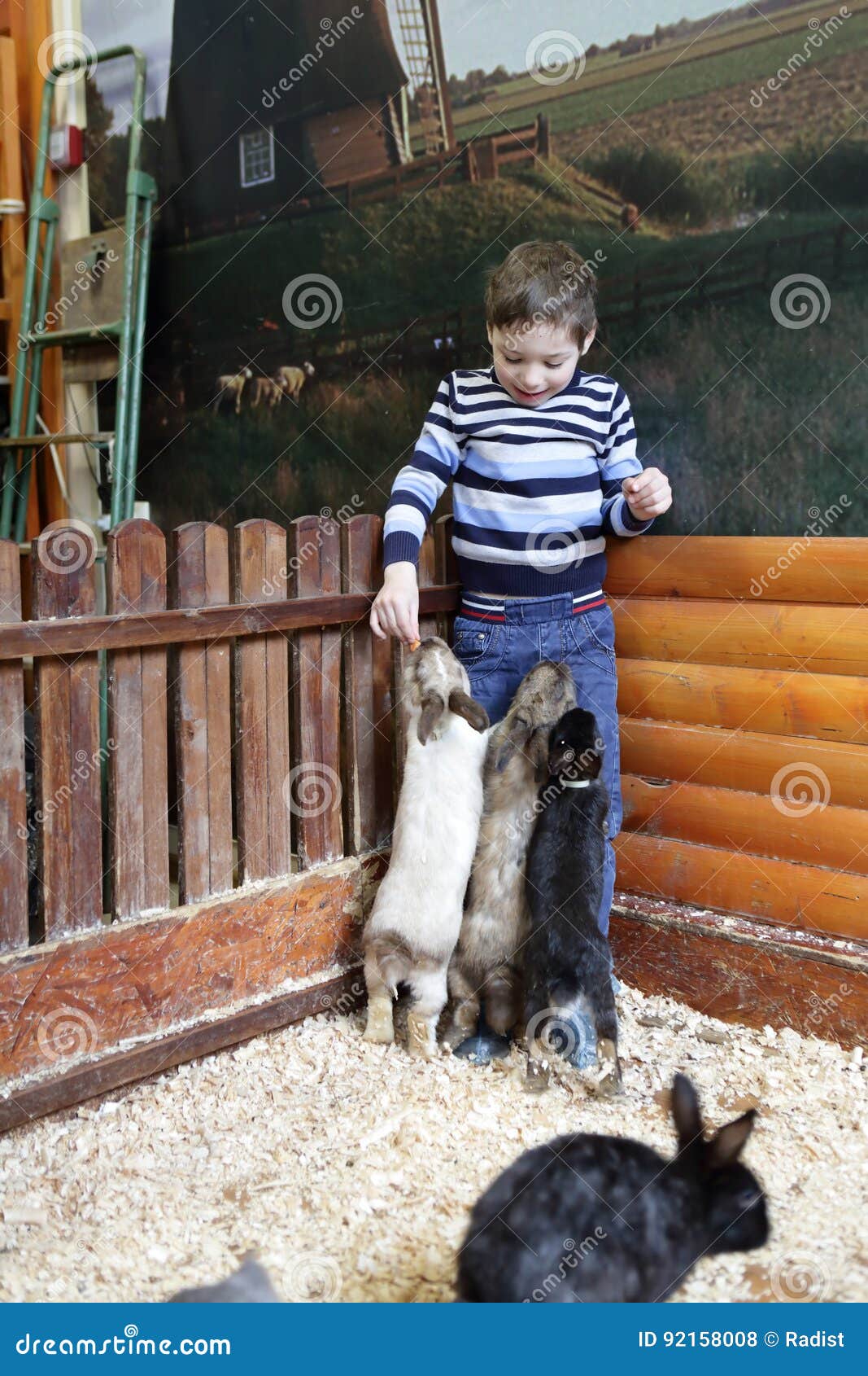 Boy with rabbits stock photo. Image of holding, childhood - 92158008