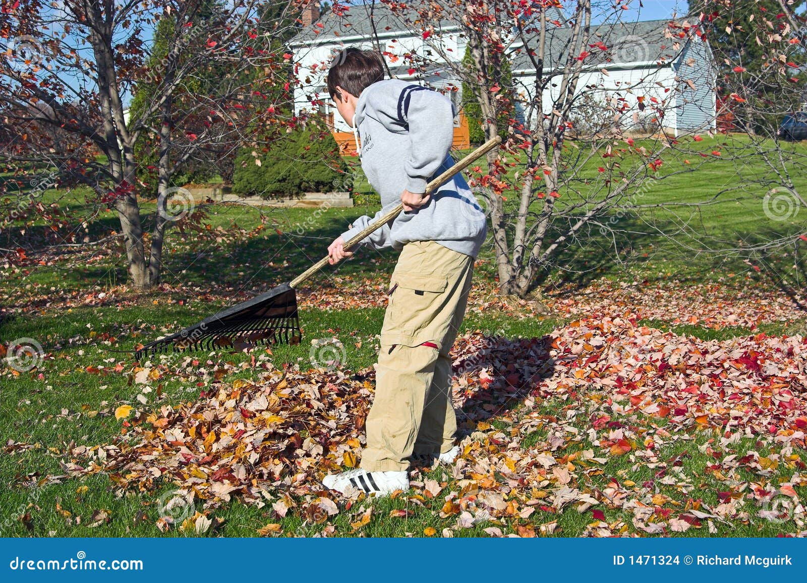 Boy Raking stock photo. Image of back, fall, house, nature - 1471324