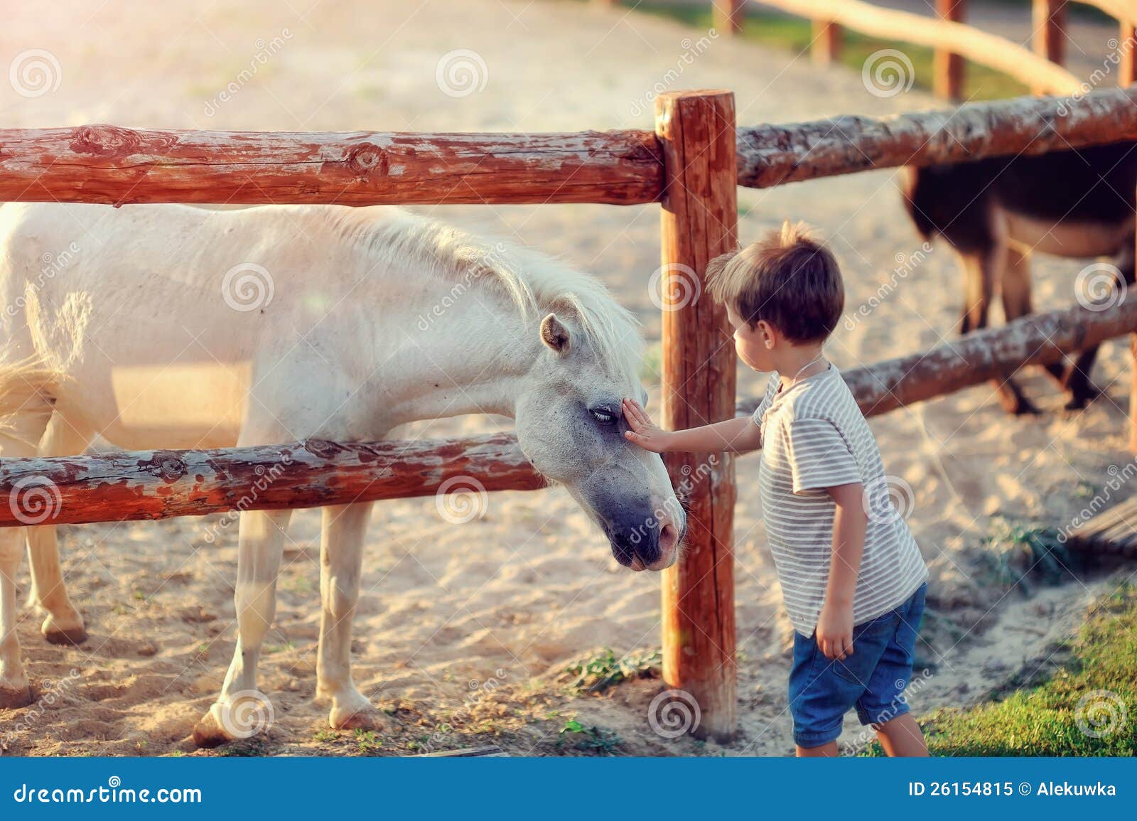 The boy on the ranch stock image. Image of competition - 26154815