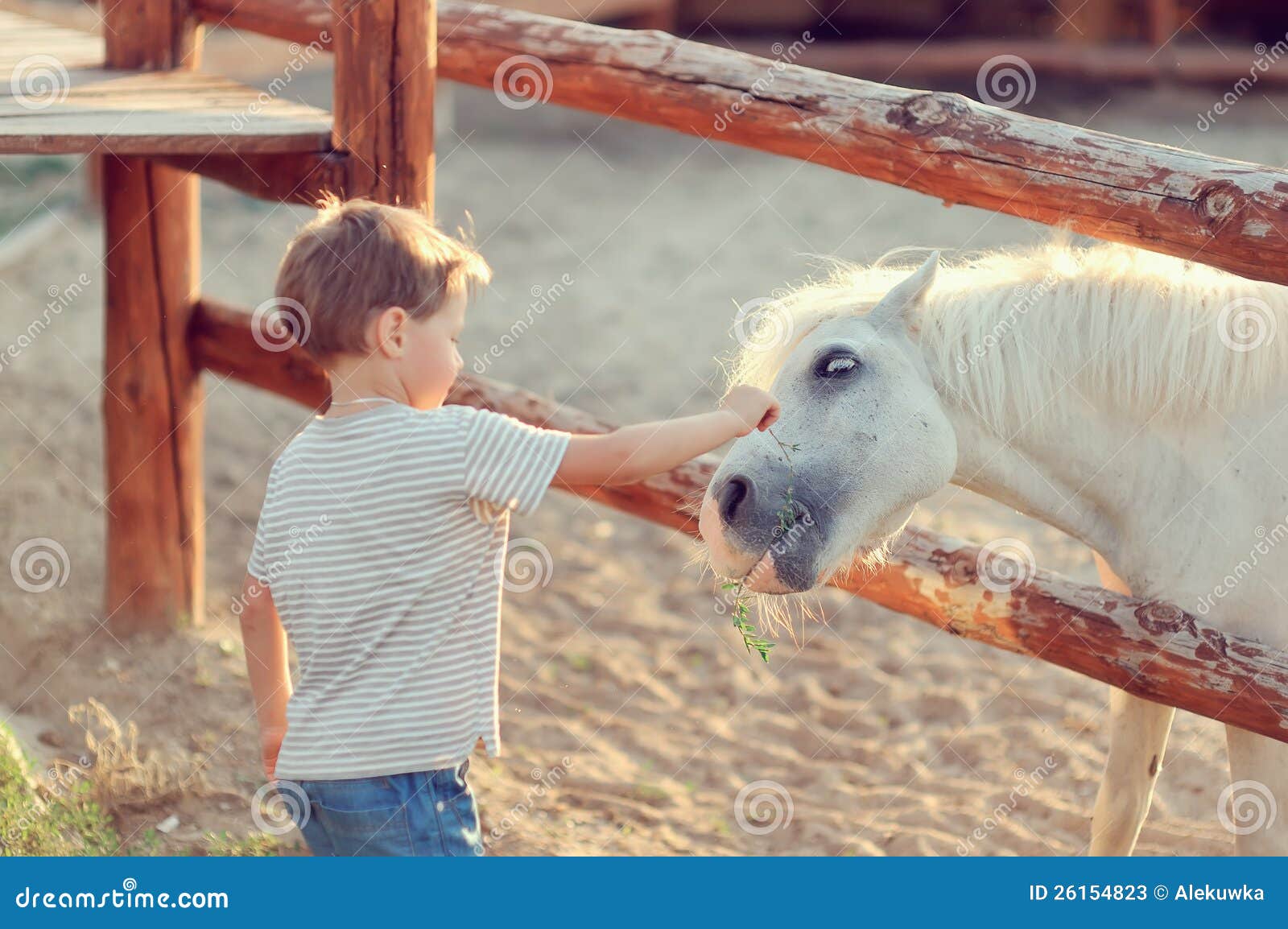 The boy on the ranch stock image. Image of healthy, portrait - 26154823