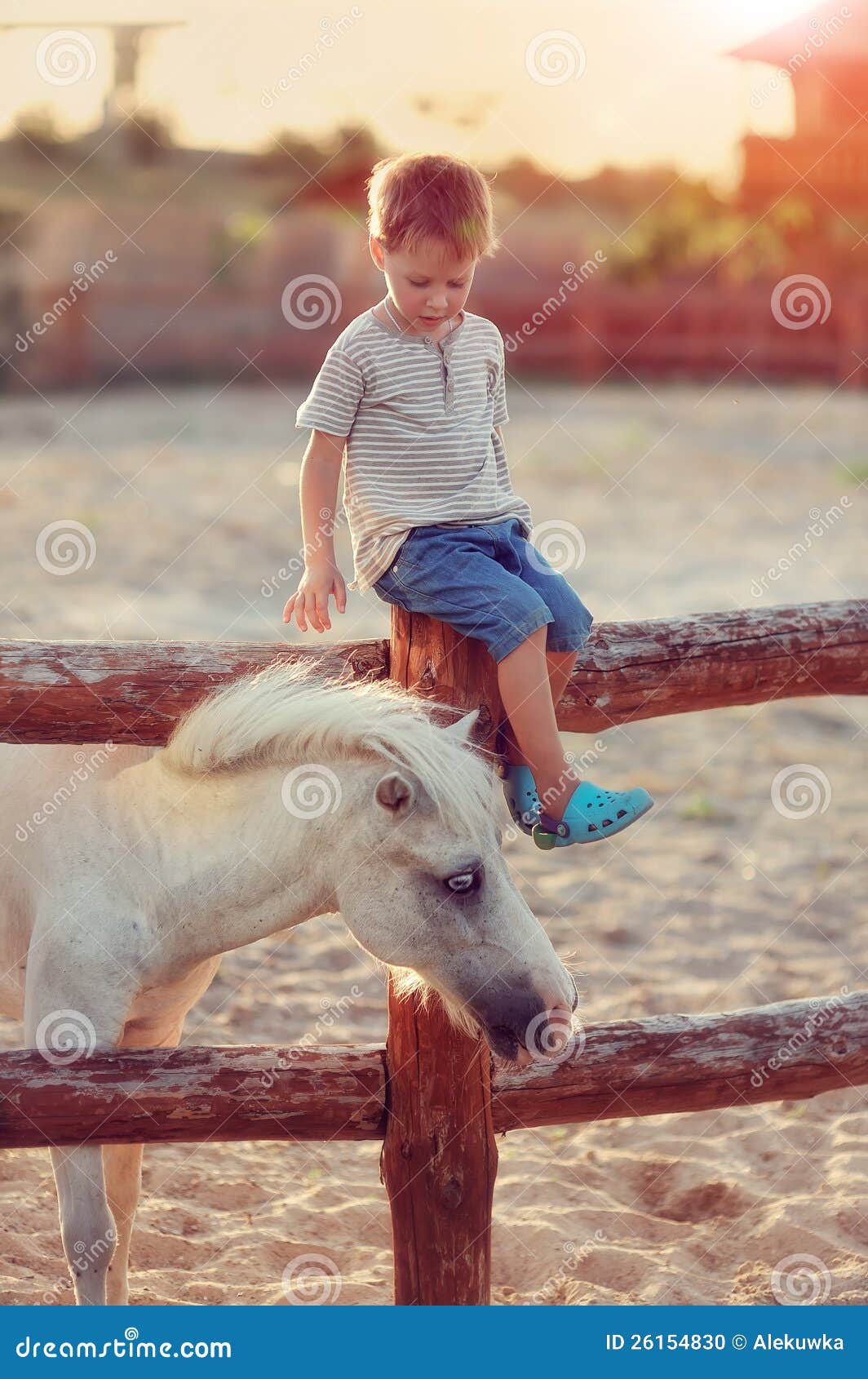 The boy on the ranch stock photo. Image of childhood - 26154830