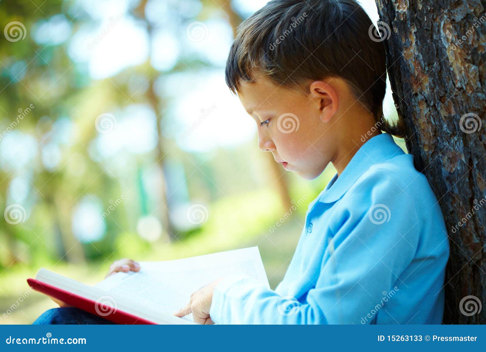 Boy reading stock image. Image of human, learn, clever - 15263133