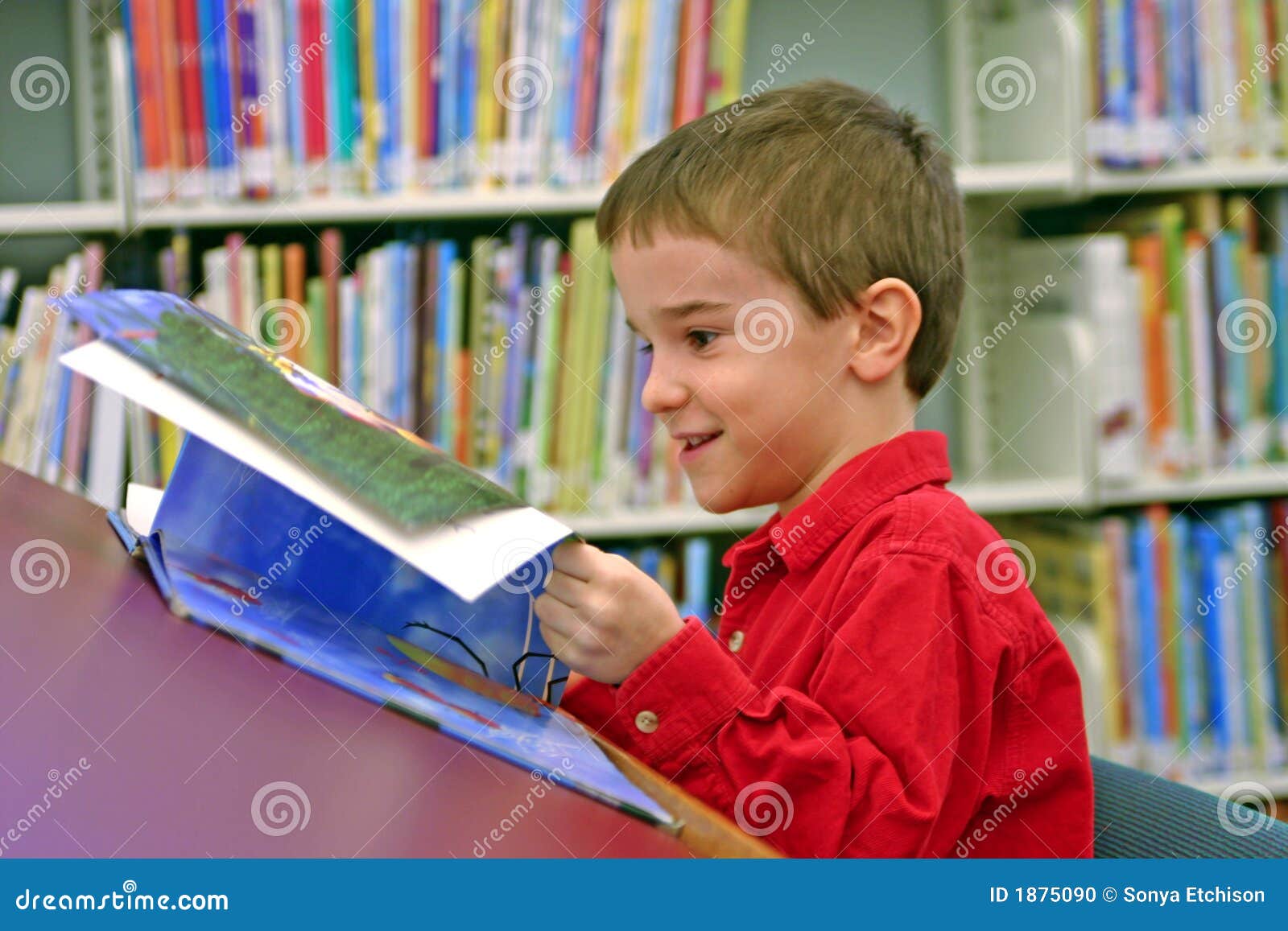 Boy Reading stock photo. Image of books, library, happiness - 1875090