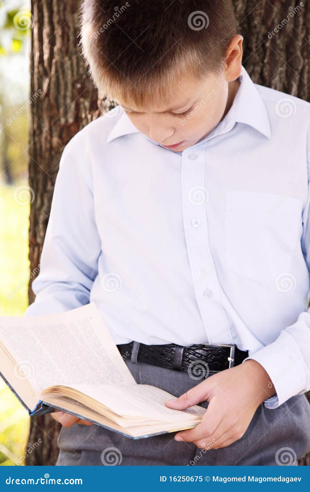 Boy reading book stock image. Image of wear, park, tree - 16250675