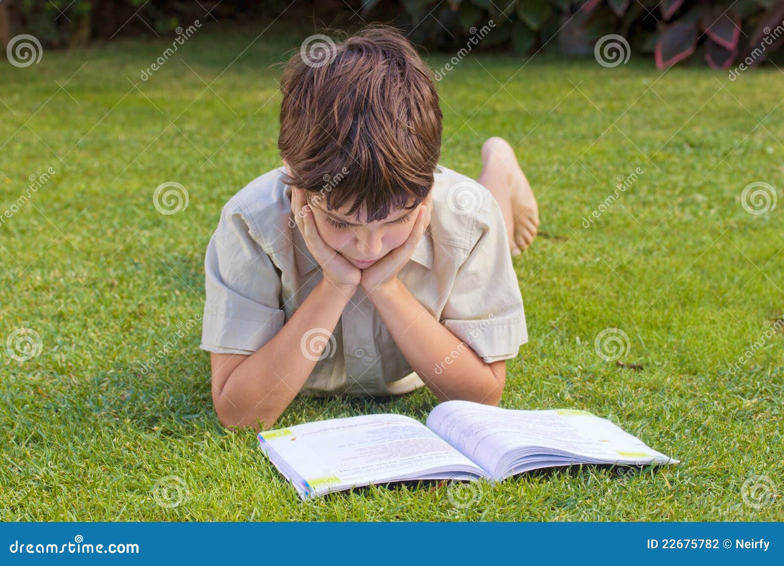 Boy reading book stock photo. Image of school, beautiful - 22675782
