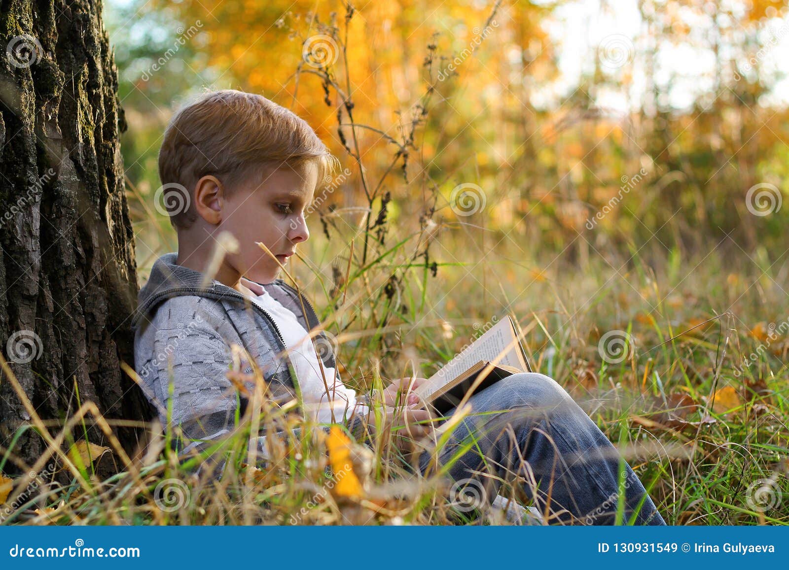 Boy Reading a Book on a Big Tree Stock Image - Image of bark, read ...
