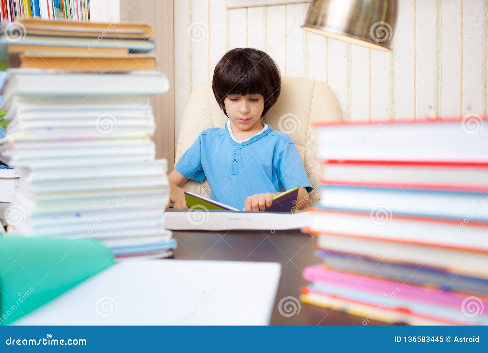 Boy reading a book stock image. Image of camera, happy - 136583445