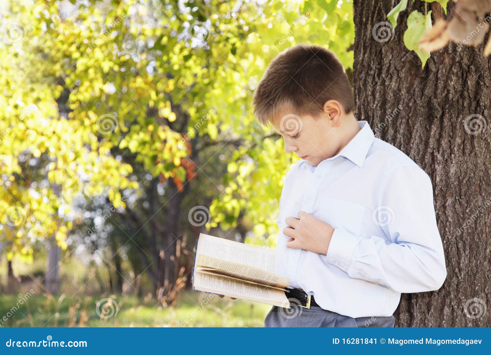 Boy reading book in park stock image. Image of male, outdoors - 16281841