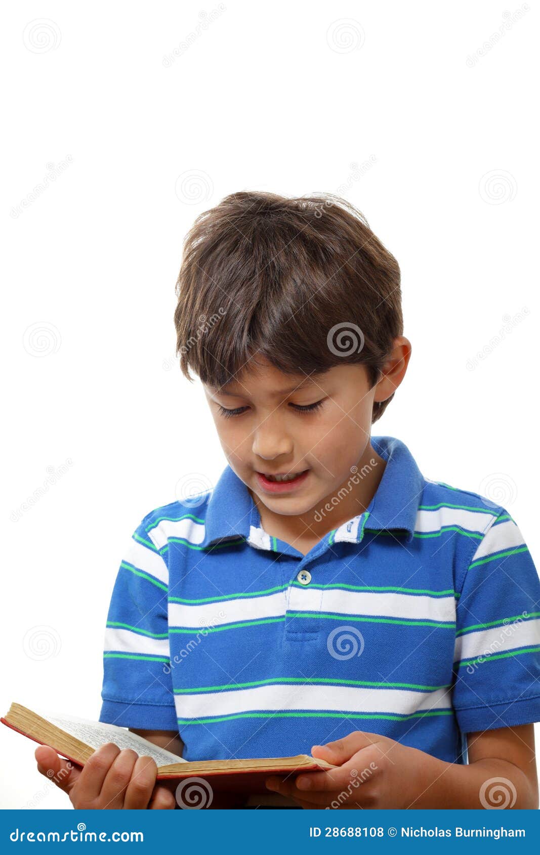 Boy Reading A Book - Portrait Stock Photo - Image of young, handsome ...