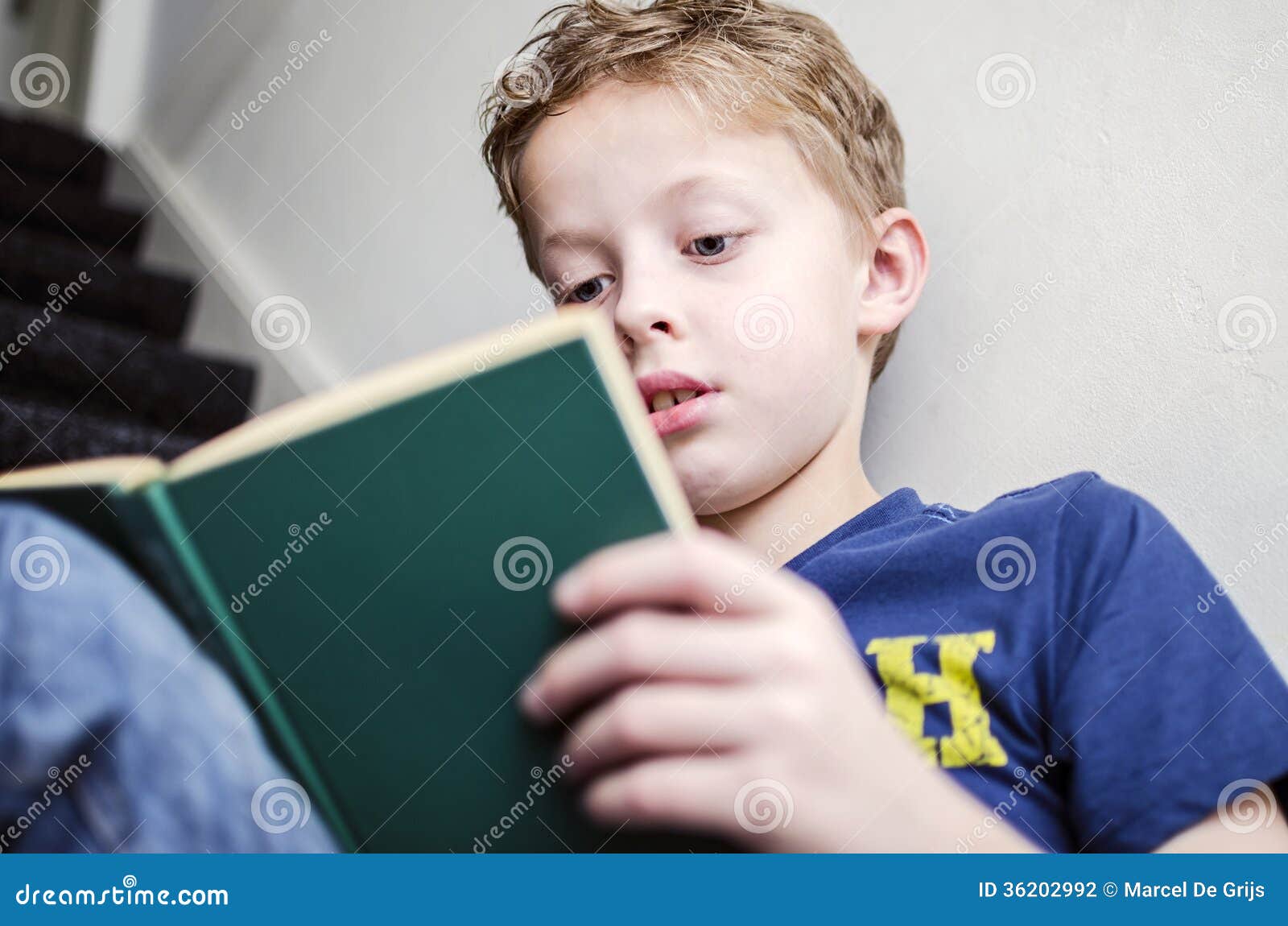 Boy reading a book stock photo. Image of book, home, green - 36202992