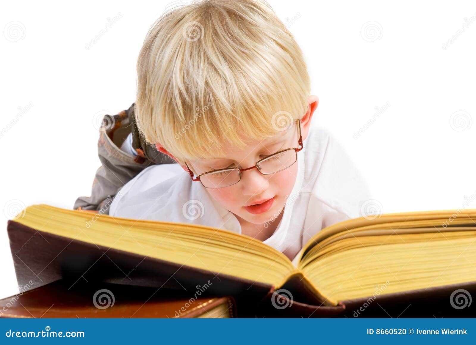 Boy is reading a good book stock photo. Image of pigheaded - 8660520