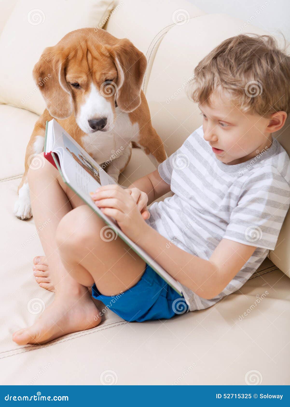 Boy Reading for His Dog at Home Stock Image - Image of hugging, hygiene ...