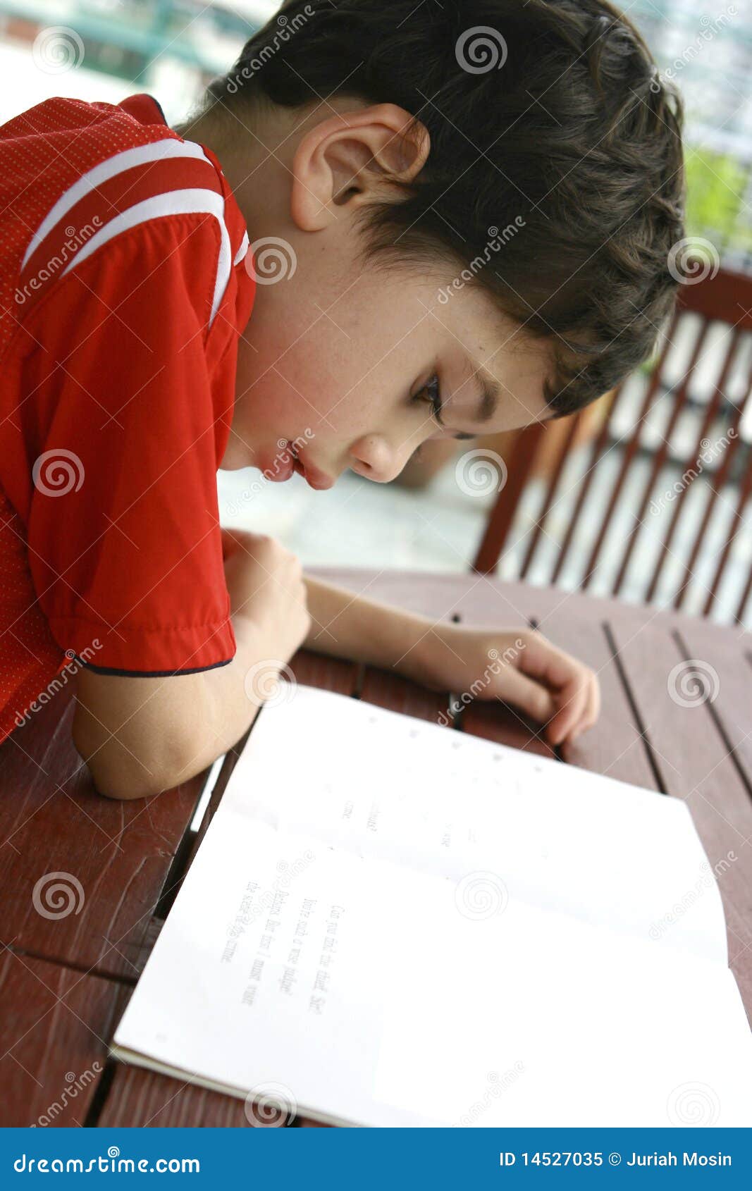 Boy Reading His Storybook in a Home Environment Stock Image - Image of ...