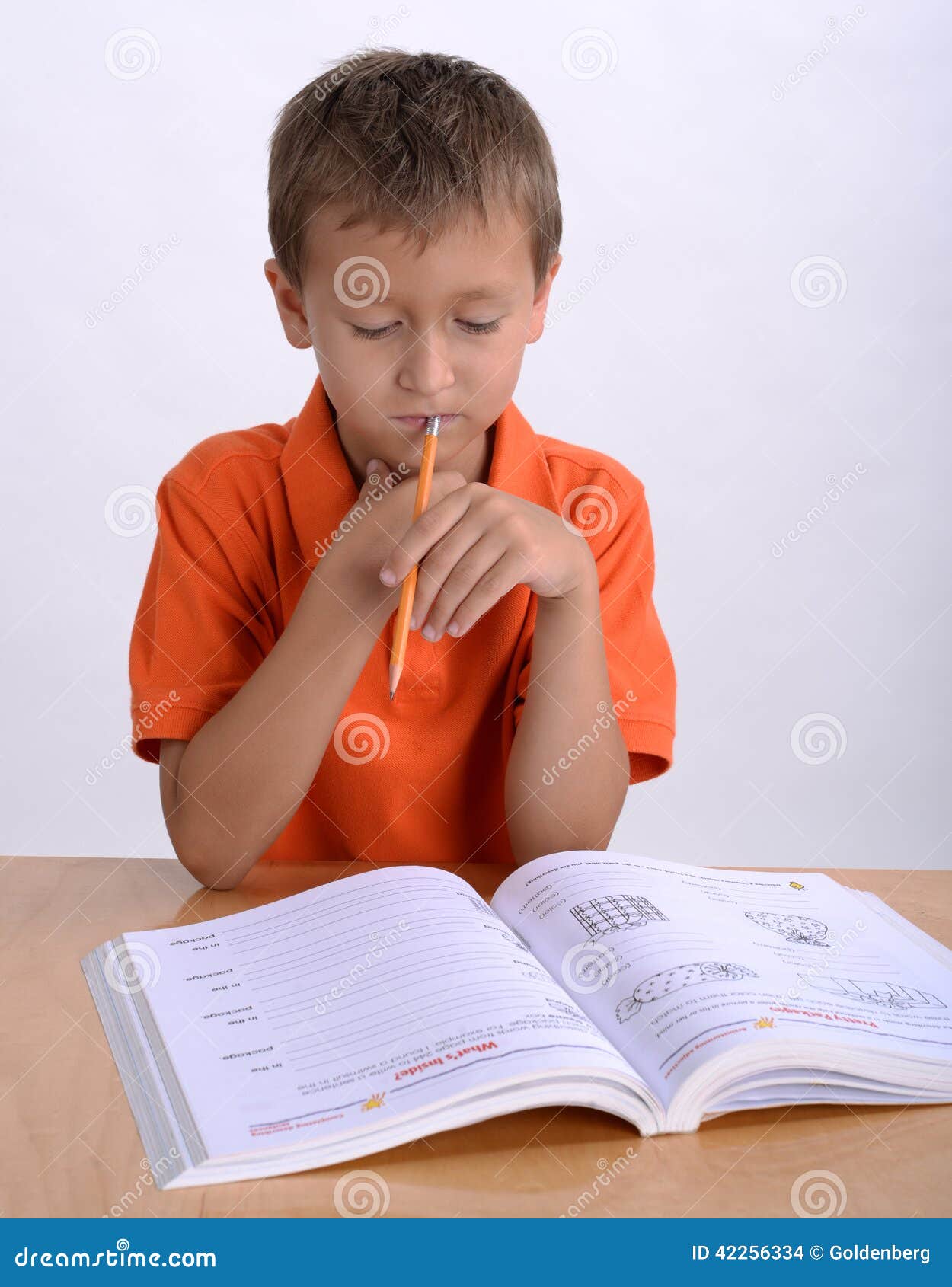 Boy reading homework stock photo. Image of concepts, learning - 42256334