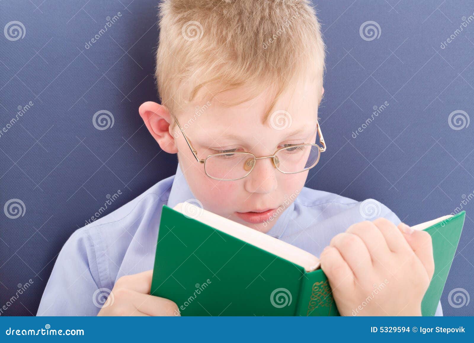 Boy Reading Interesting Book Stock Photo - Image of expertise, child ...