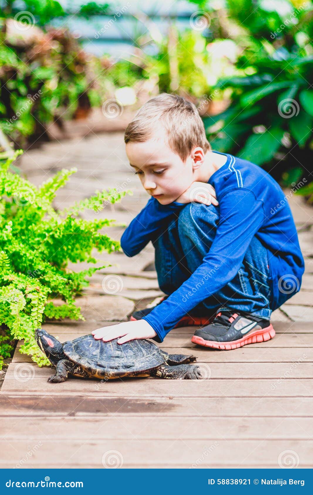 Boy and red-eared turtle stock image. Image of friendship - 58838921