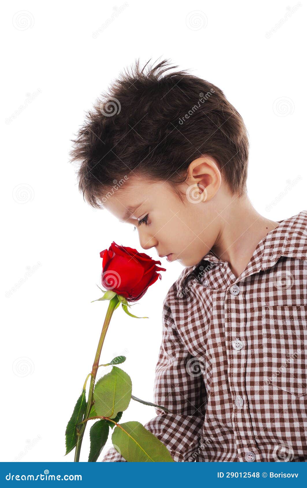 Boy with red rose stock photo. Image of european, handsome - 29012548