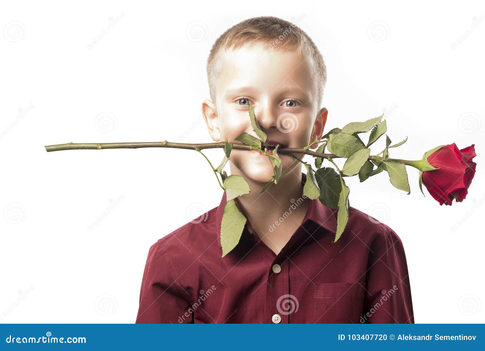 Boy with a red rose stock photo. Image of love, smile - 103407720