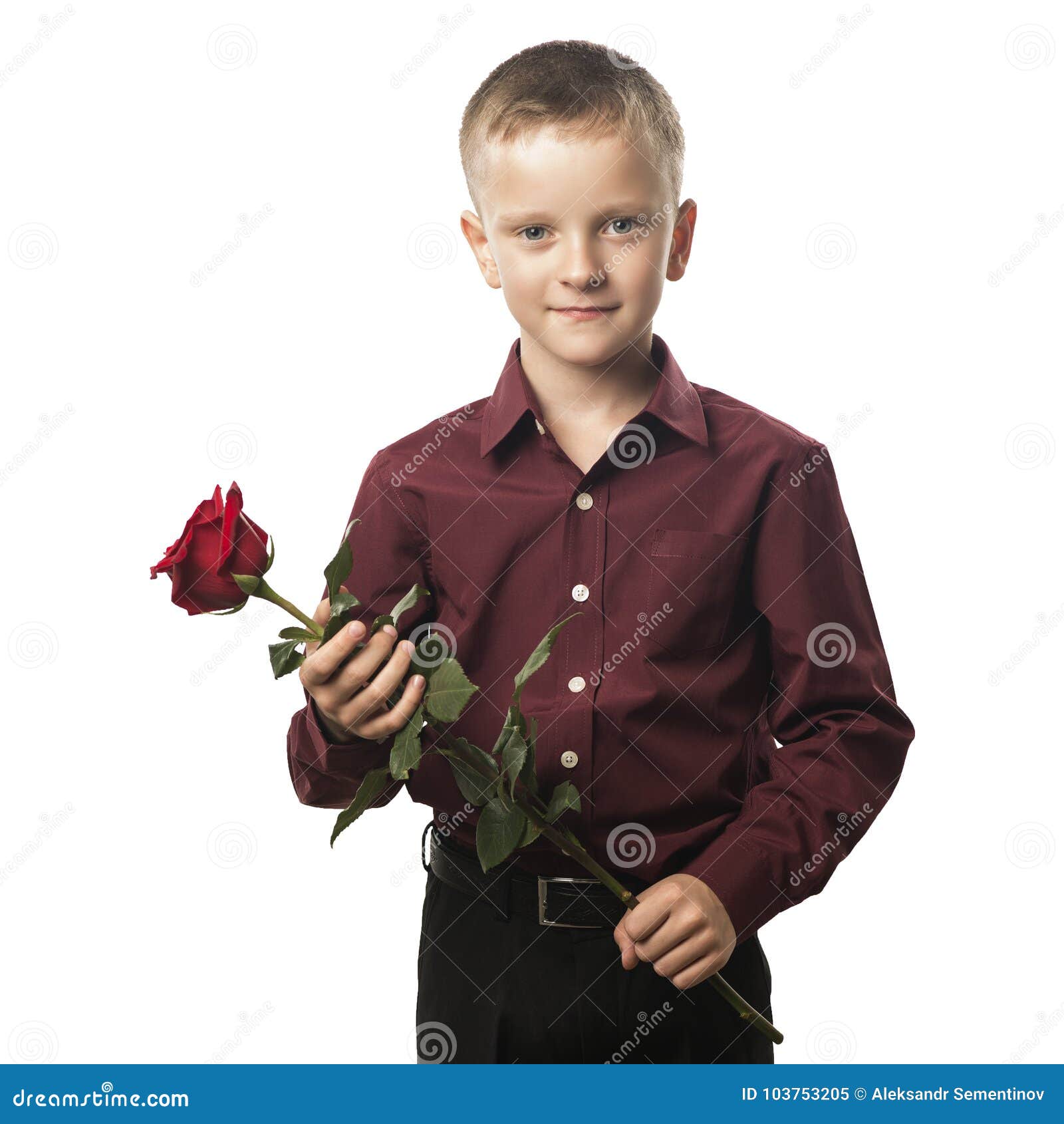 Boy with a red rose stock image. Image of romantic, romance - 103753205