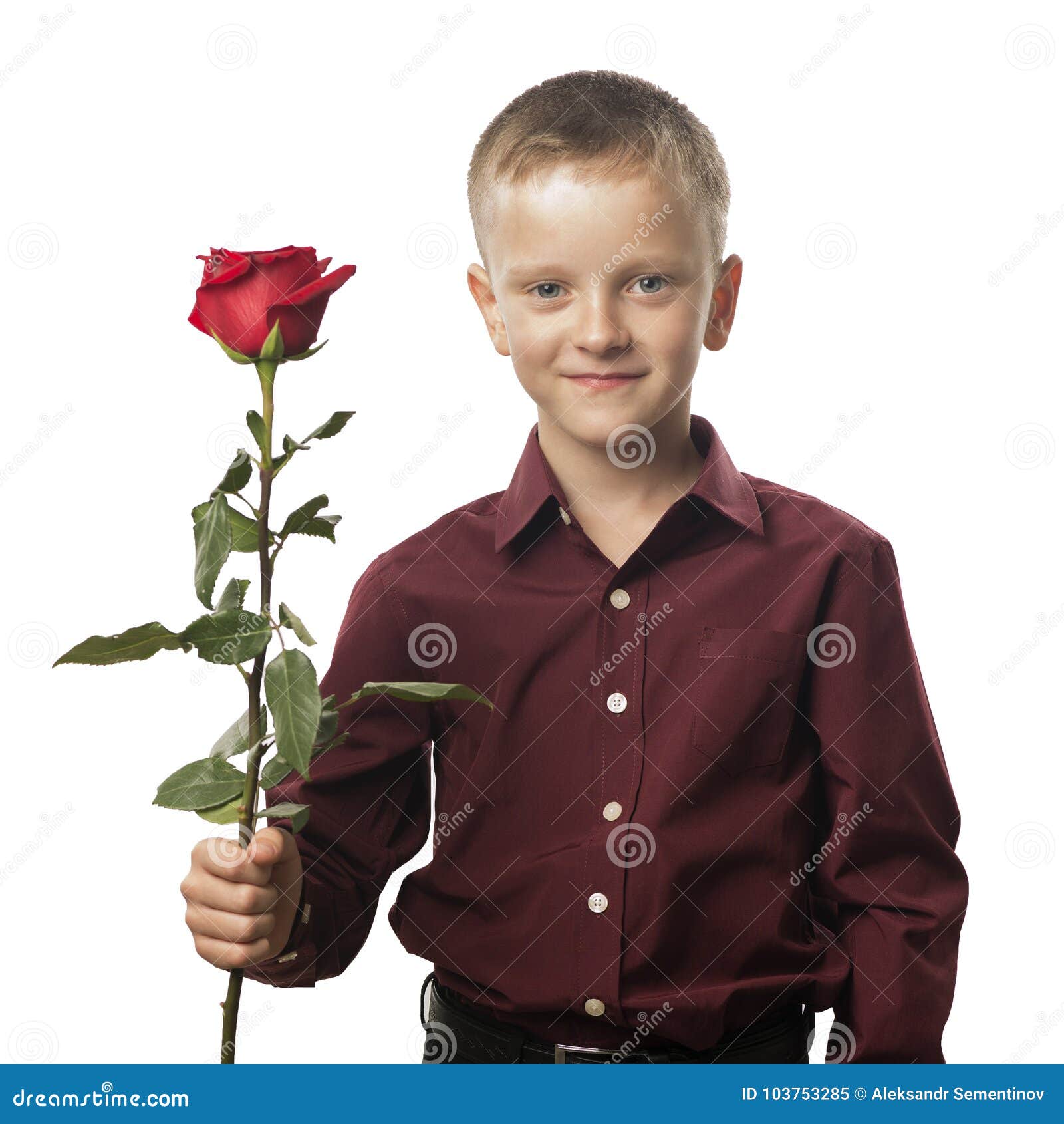 Boy with a red rose stock image. Image of caucasian - 103753285