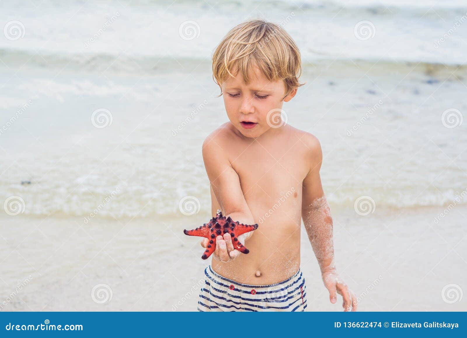 A Boy and a Red Starfish Against the Backdrop of the Sea Stock Photo ...
