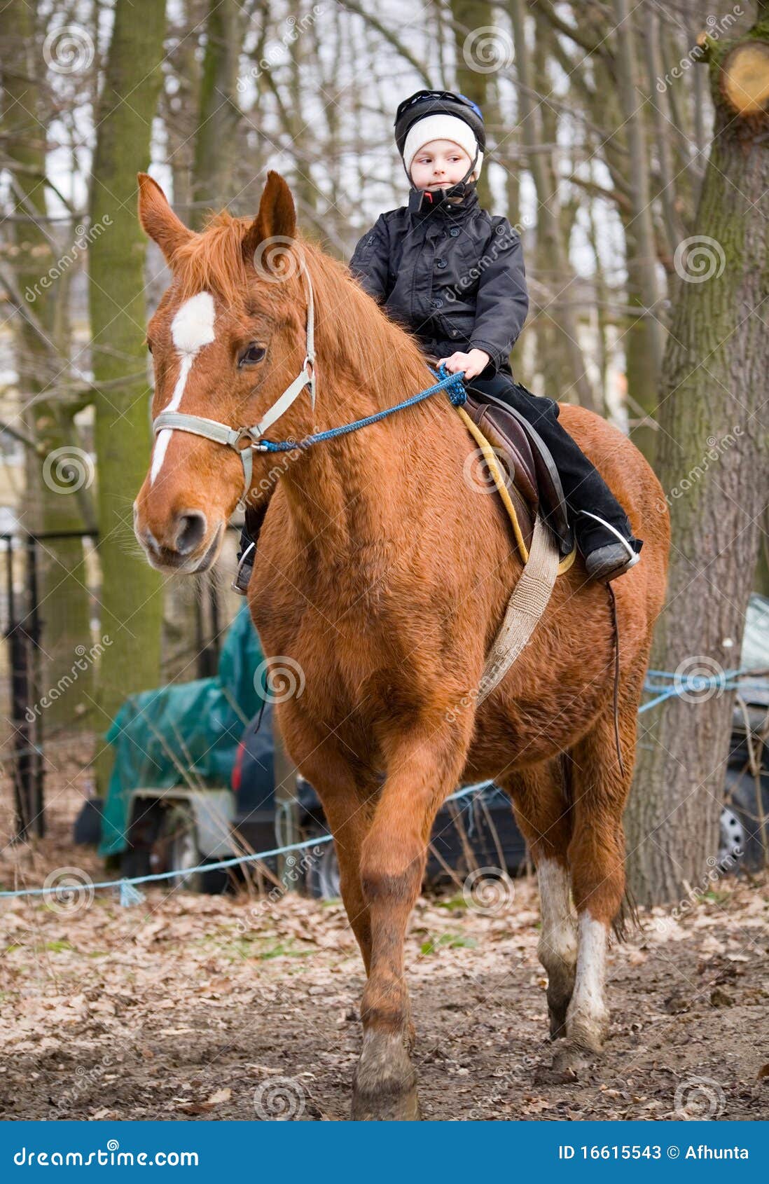 Boy rider stock image. Image of hoof, competitive, mare - 16615543