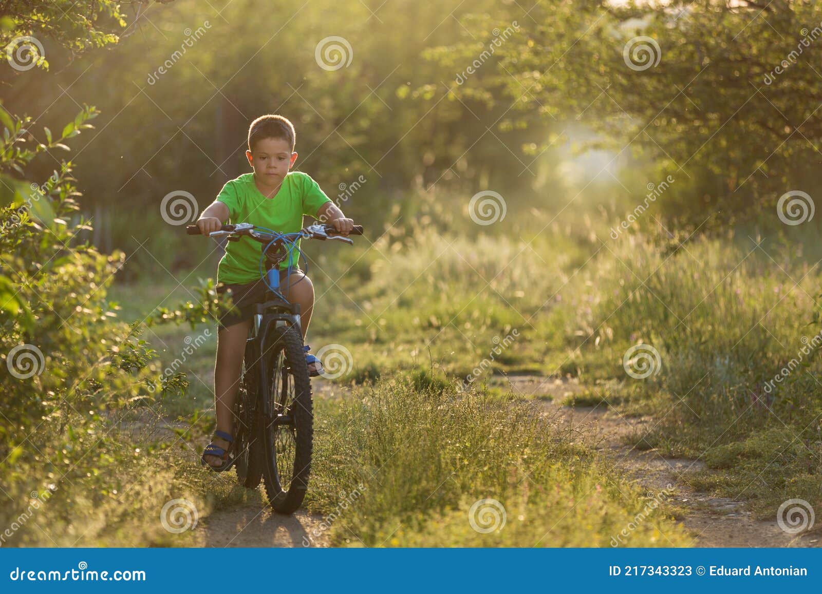 Boy Rides a Bike Along a Path Surrounded by Greenery, Beautiful ...