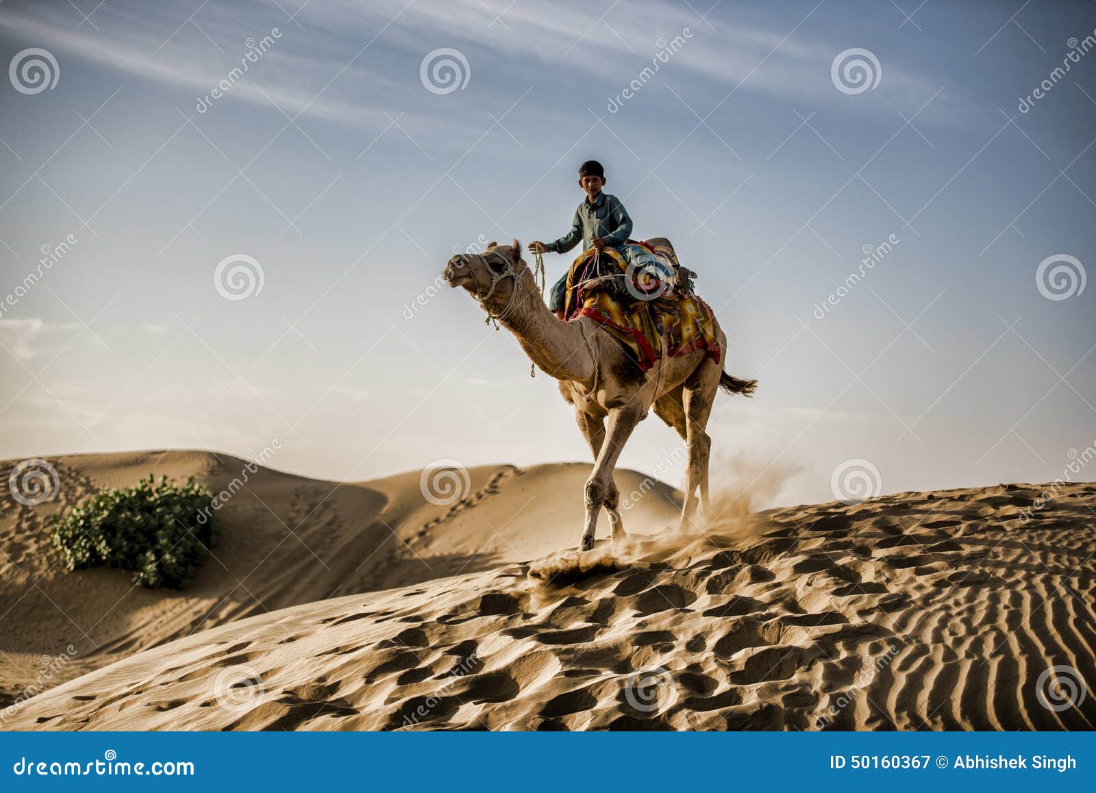 Boy Riding a Camel in the Desert Editorial Photography - Image of rides ...