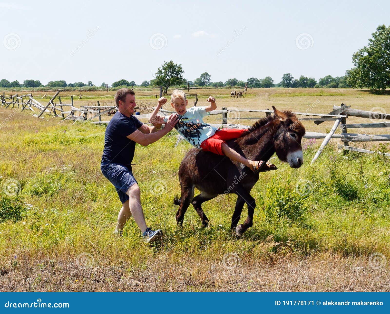 Boy Riding a Donkey in the Village Stock Image - Image of landscape ...