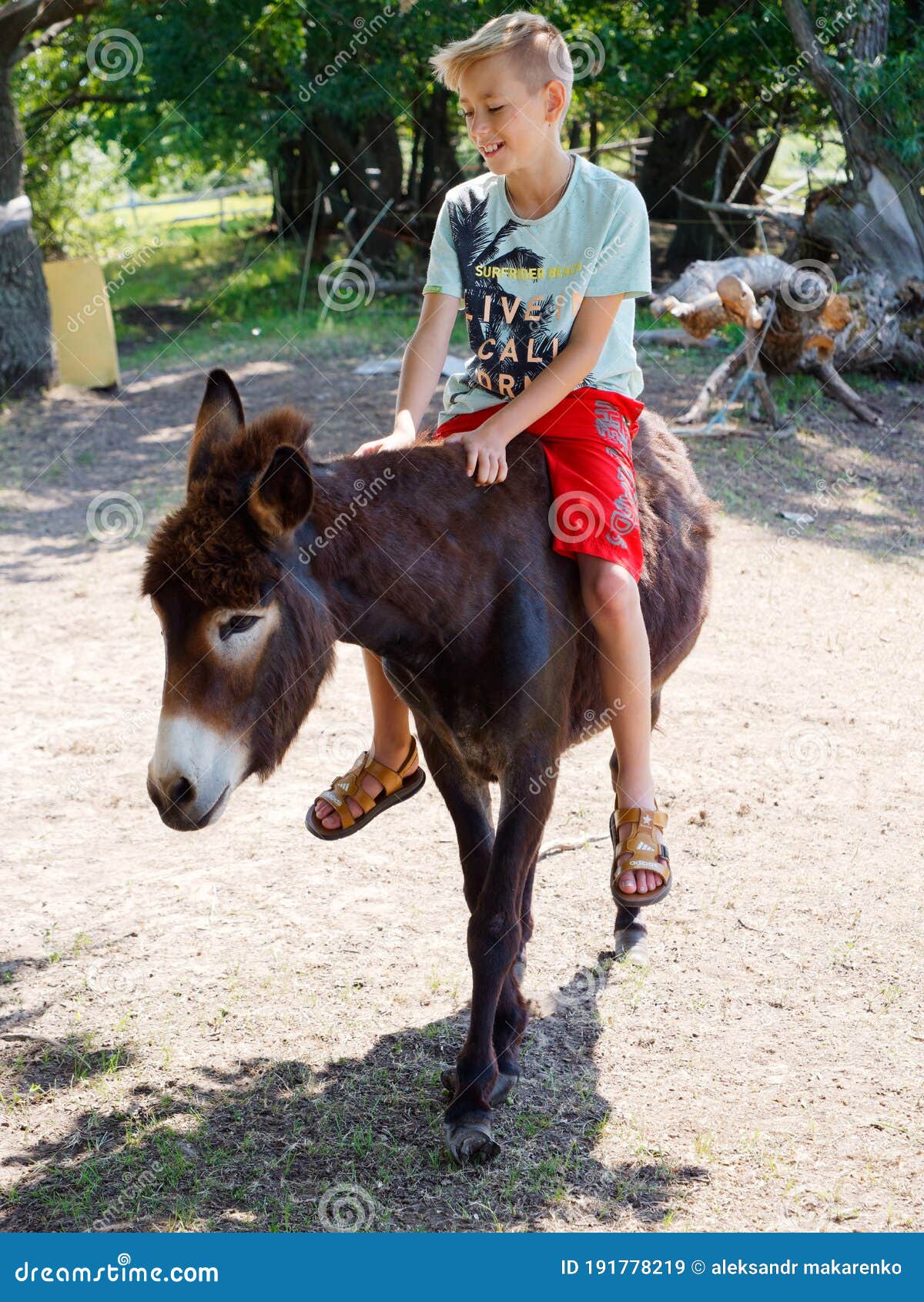 Boy Riding a Donkey in the Village Stock Image - Image of animal ...
