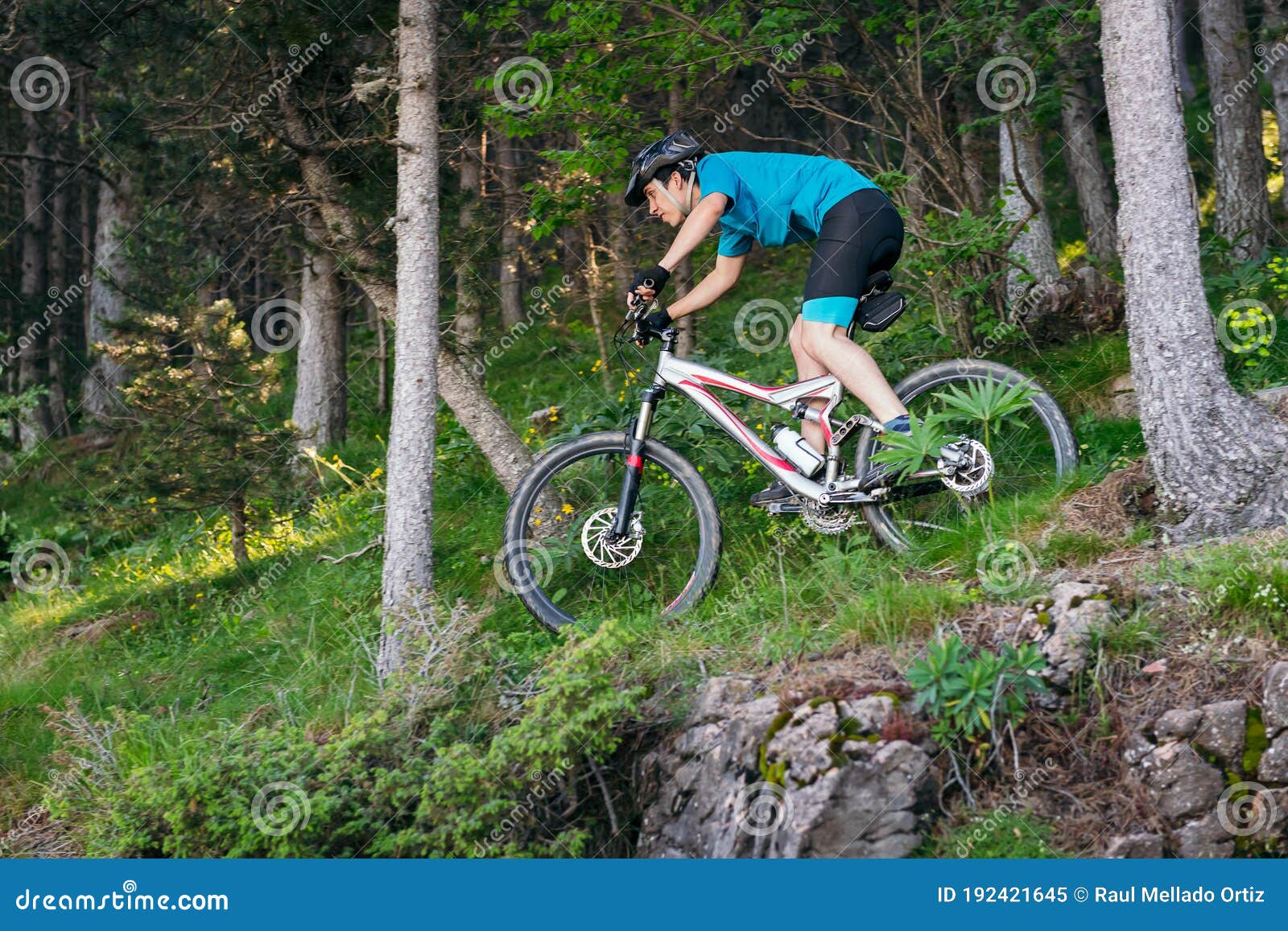 Boy Riding Fast a Mountain Bike through a Forest Stock Image - Image of ... Boy Riding Fast a Mountain Bike through a Forest Stock Image - Image of ...