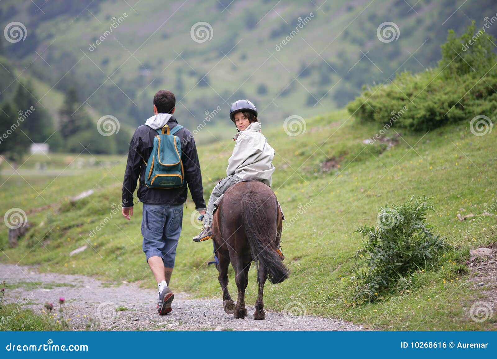Boy riding a horse stock photo. Image of ride, sportsman - 10268616