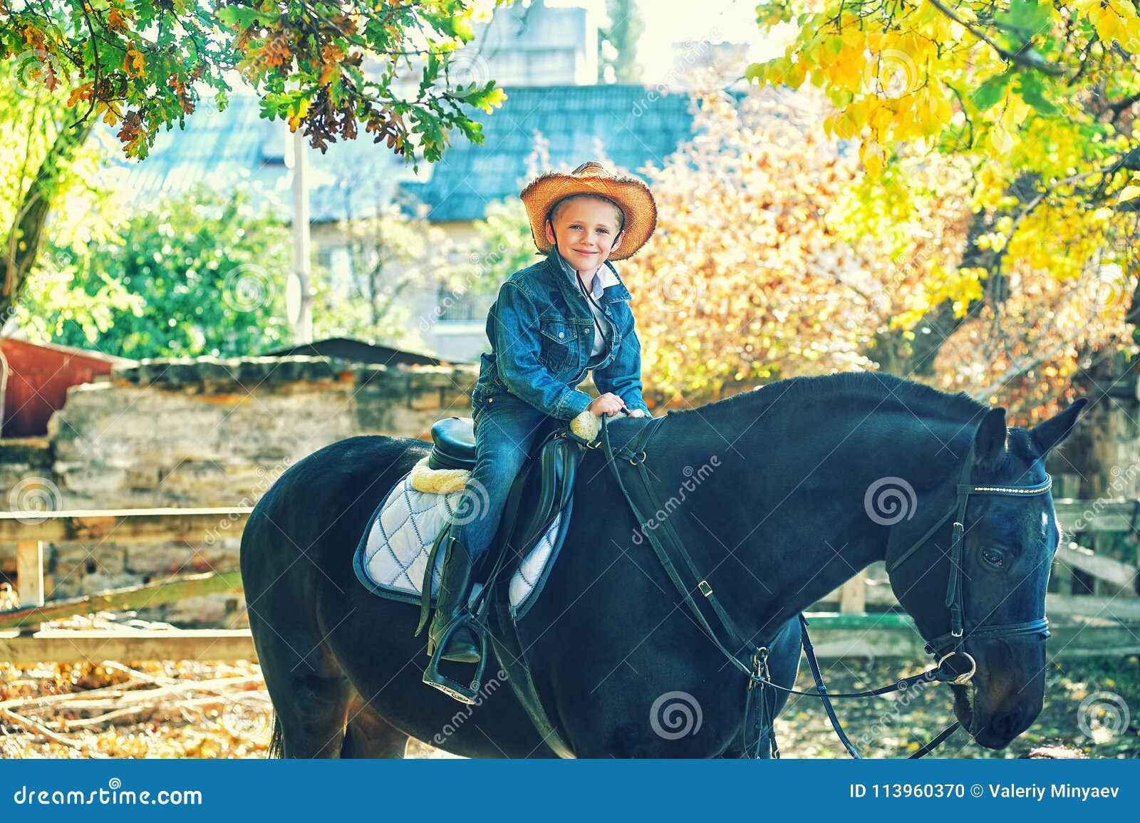 Boy Riding a Horse, Horse Riding Stock Photo - Image of sport, outdoor ...
