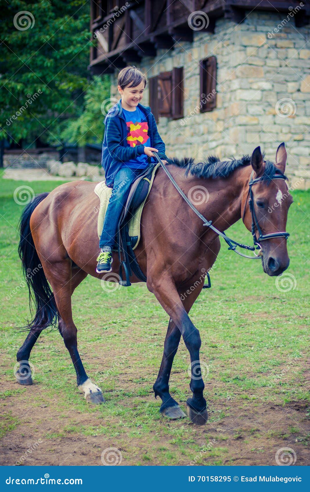 Boy riding a horse stock image. Image of bridle, nature - 70158295