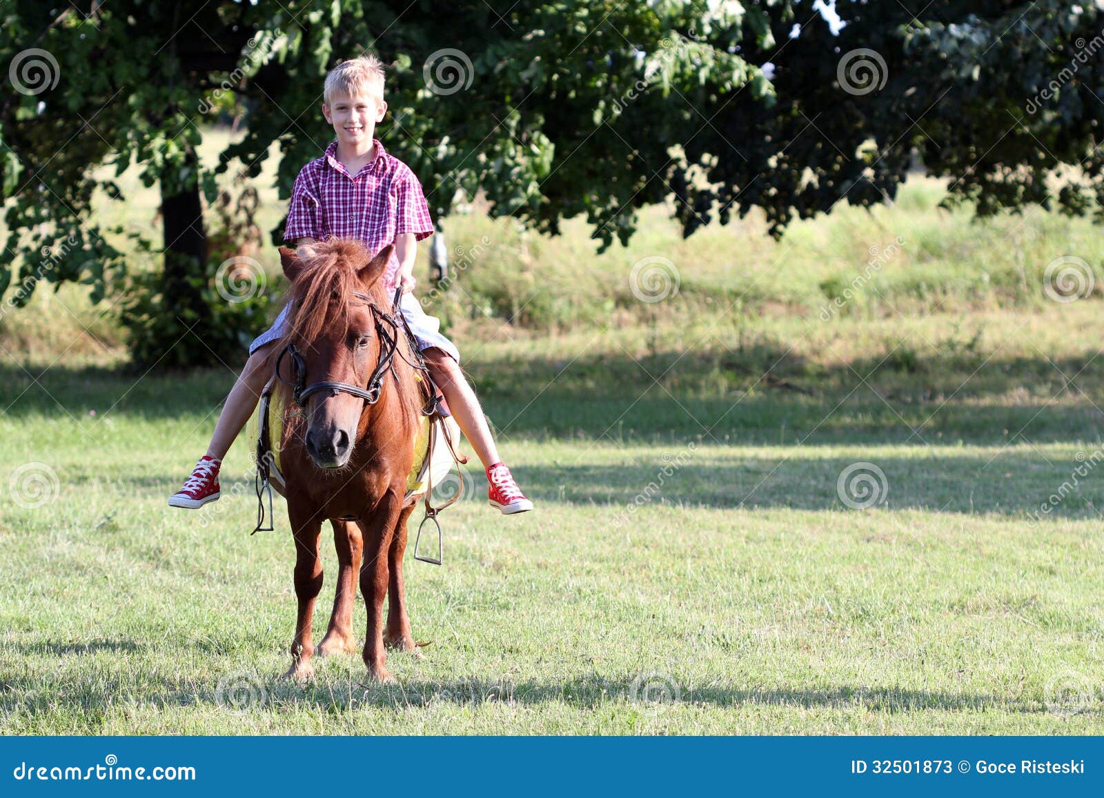 Boy riding pony horse stock image. Image of summer, graze - 32501873