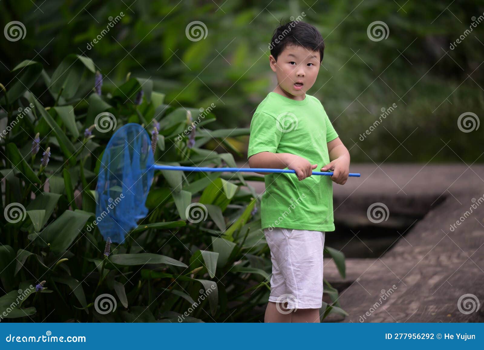 Boy Catching Fish with a Fishing Net Stock Photo - Image of person ...