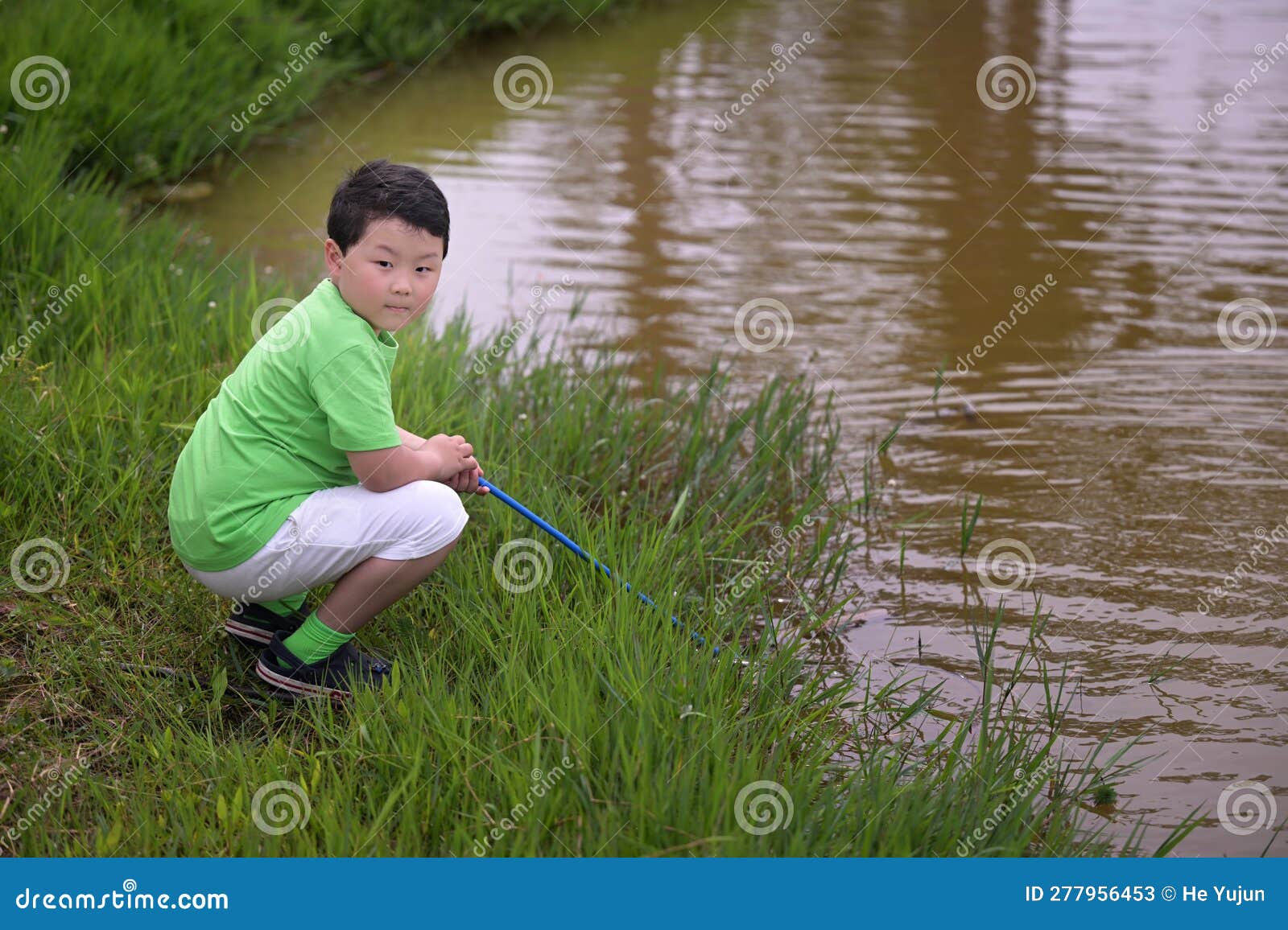 Boy Catching Fish with a Fishing Net Stock Image - Image of lawn ...