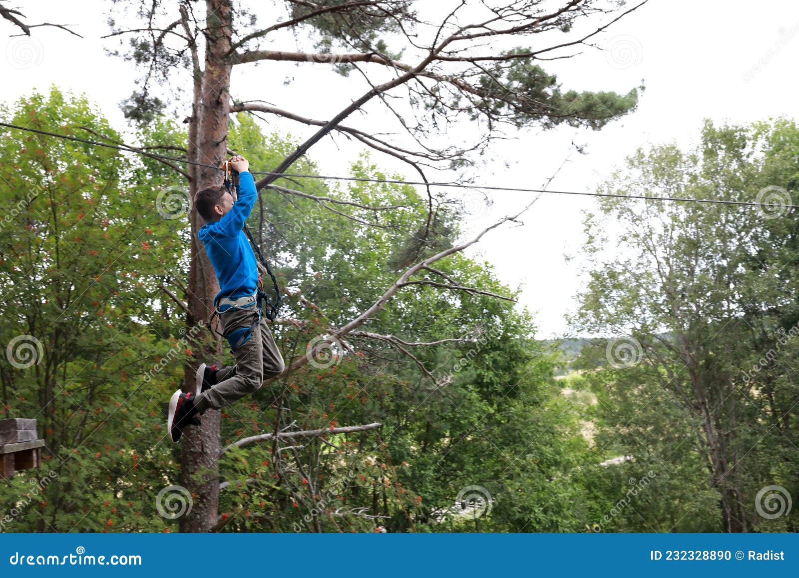 Boy Rolling on Zipline in Forest Stock Photo - Image of play, outdoor ...
