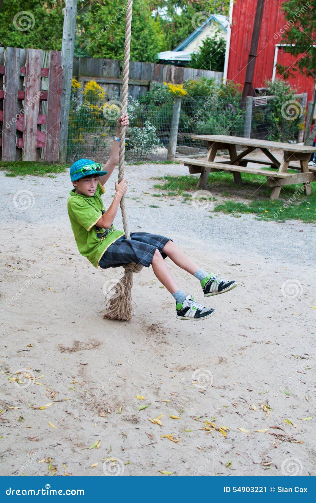 Boy on a rope swing stock image. Image of activity, child - 54903221